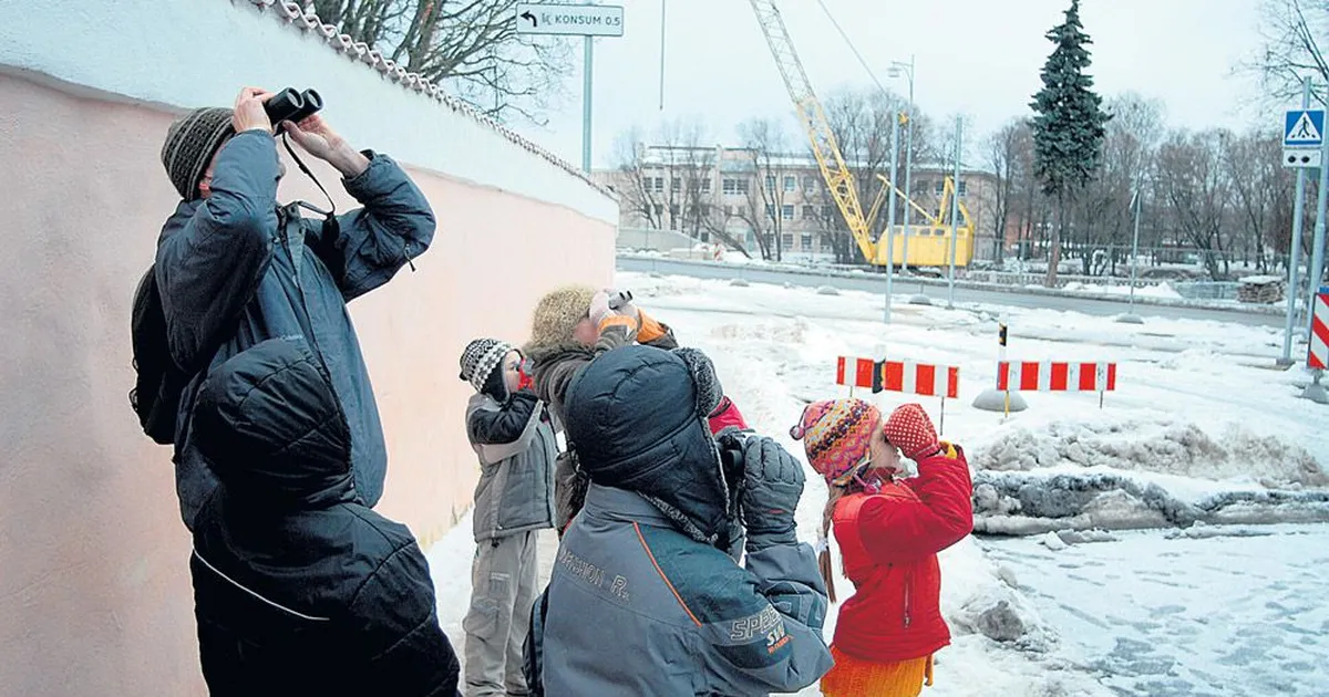Binoklid tõid talvised linnud laste juurde