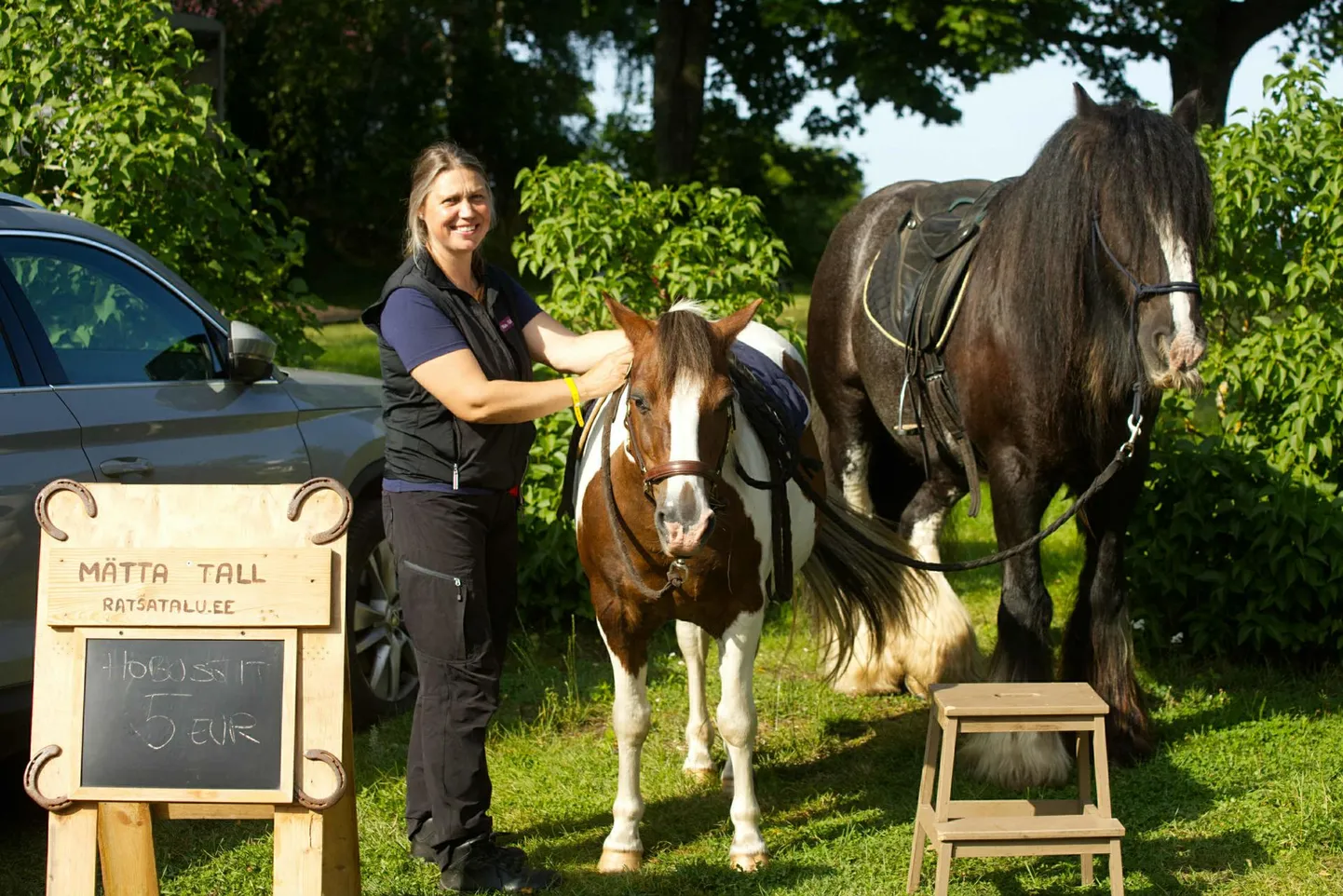 Iiri mustlashobune Blake ja poni Willi olid laste seas suur tõmbenumber