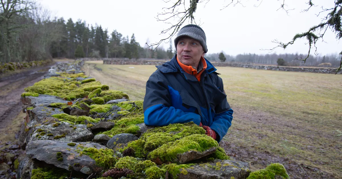KÜLALOOD Varpe küla “kaunistab” läkune tee imeliste kiviaedade vahel