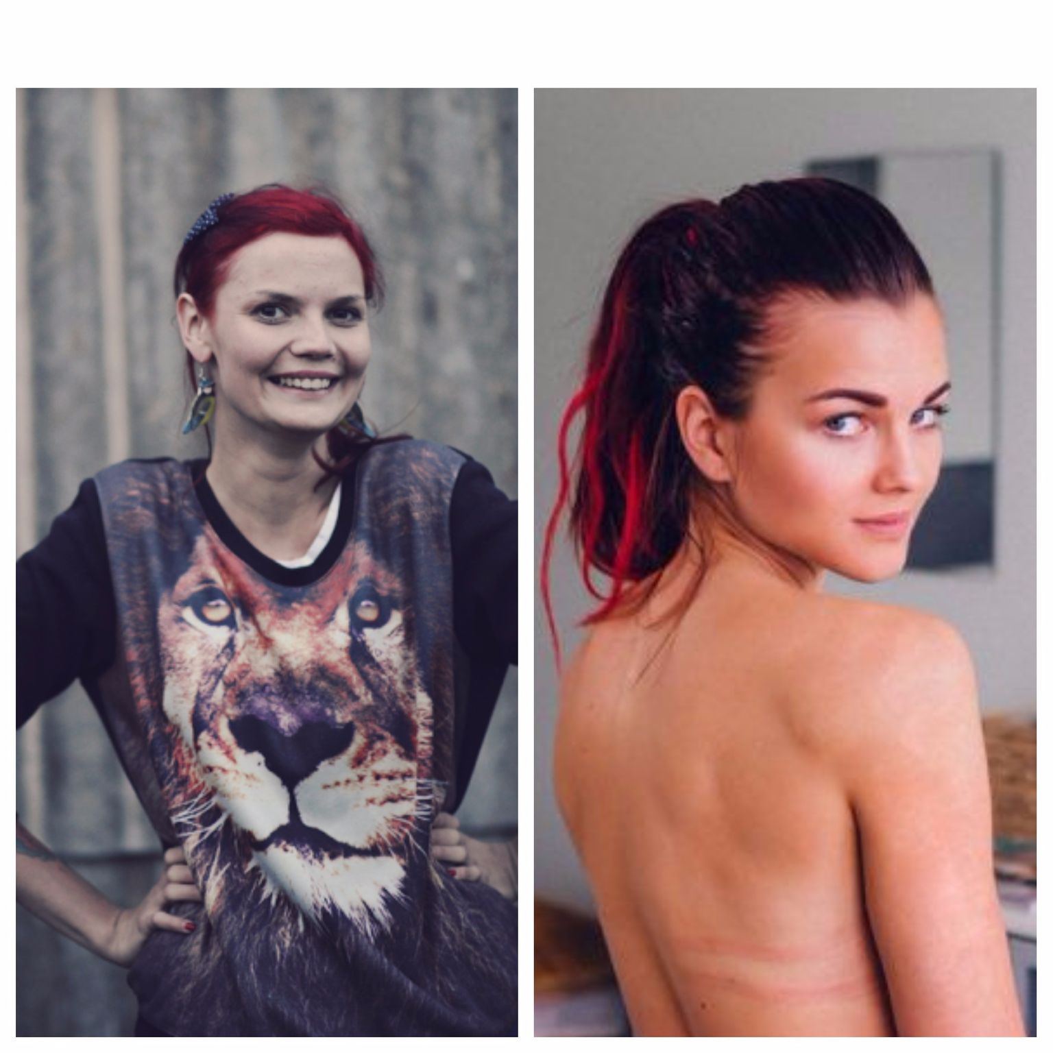 Blogijate sõda: Mallukas kritiseerib Paljast Porgandit