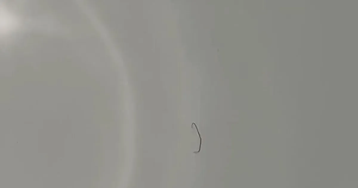 VIDEO Suur tulekahju muutis vee pruunikaks ja klaasis hulpis ussike