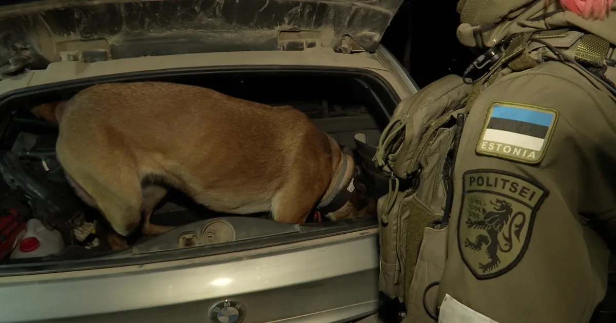 Osav politseikutsa Esti tegi Kagu-Eesti operatsioonil kasulikke avastusi!