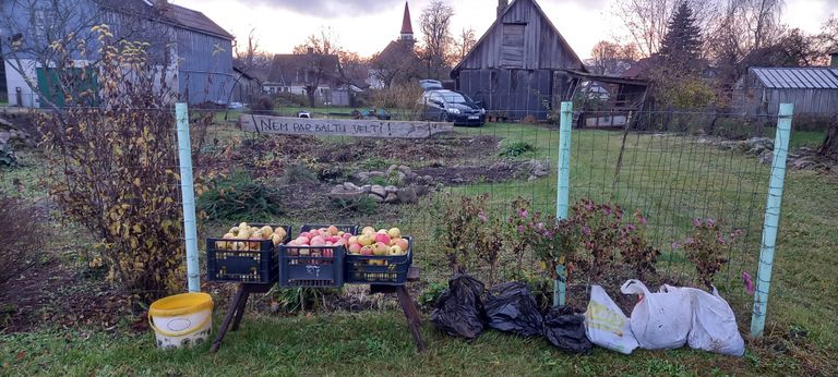 Alojā uzdarbojas Labā feja. Aicinām ziņot par novērojumiem citur Latvijā