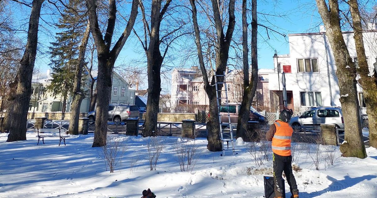 PILTUUDIS Vald likvideeris lossipargist 500 euro eest varesepesi