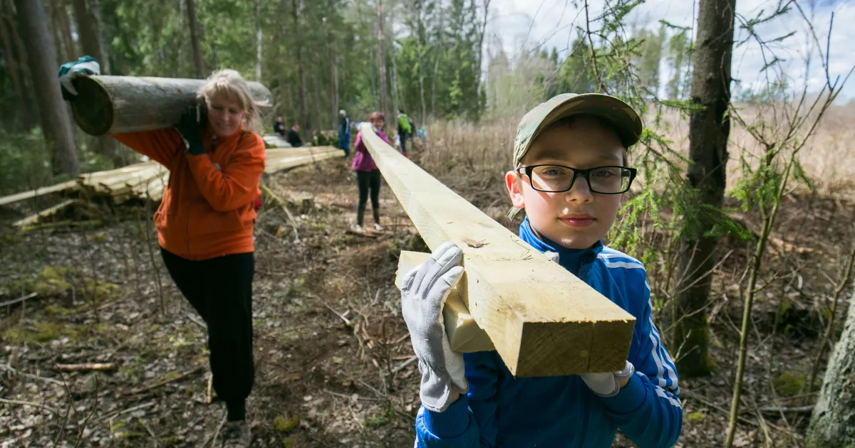 Väätsa raba laudtee vajab putitamist