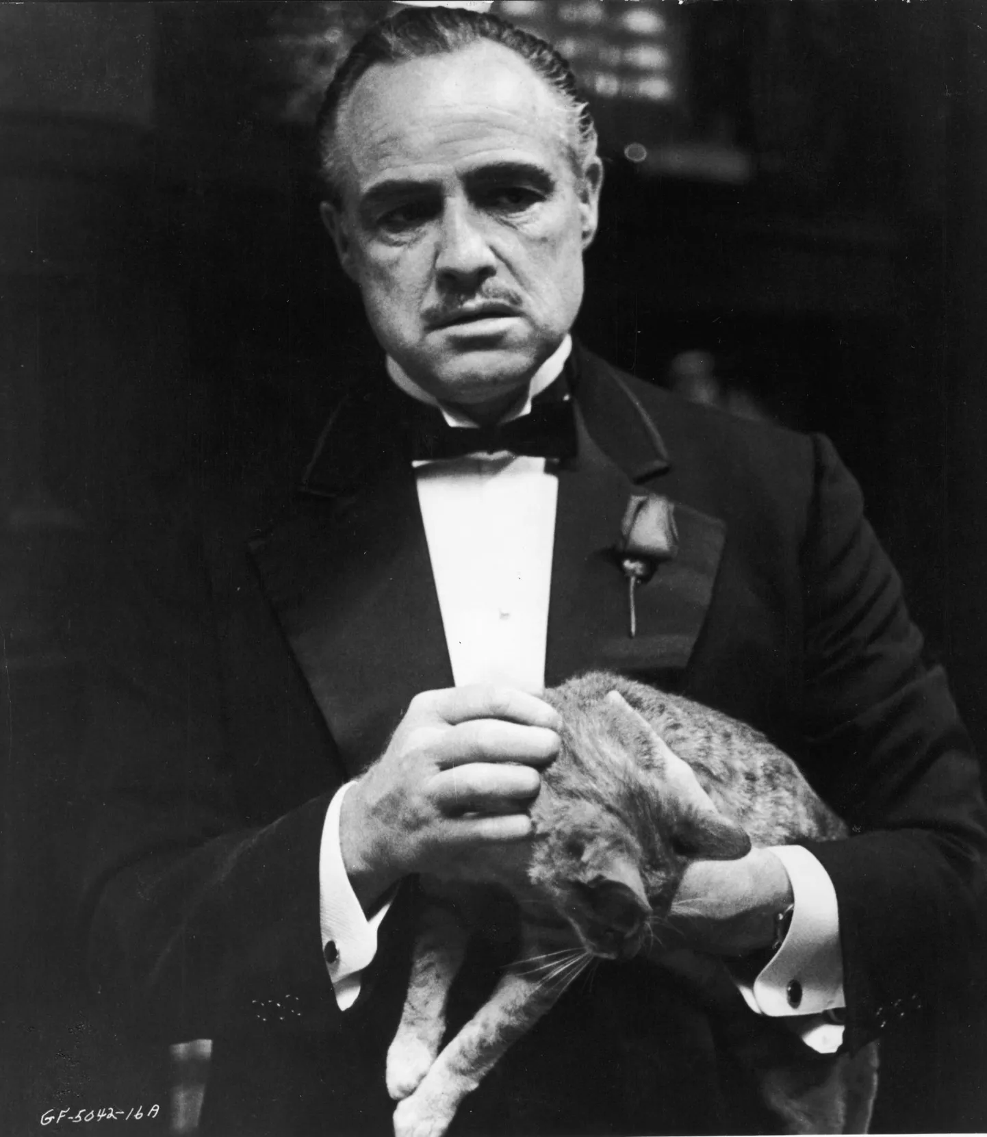 Kas Marlon «Ristiisa» Brando oli Michael Jacksoni noorema poja tegelik isa?