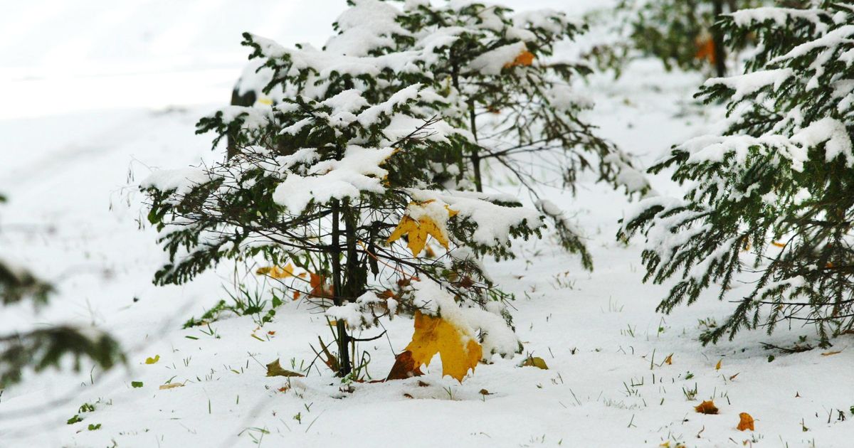 Liiklusõnnetuse tõttu on Järvevana teel suured ummikud - Arhiiv ... Liiklusõnnetuse tõttu on Järvevana teel suured ummikud - Arhiiv ...
