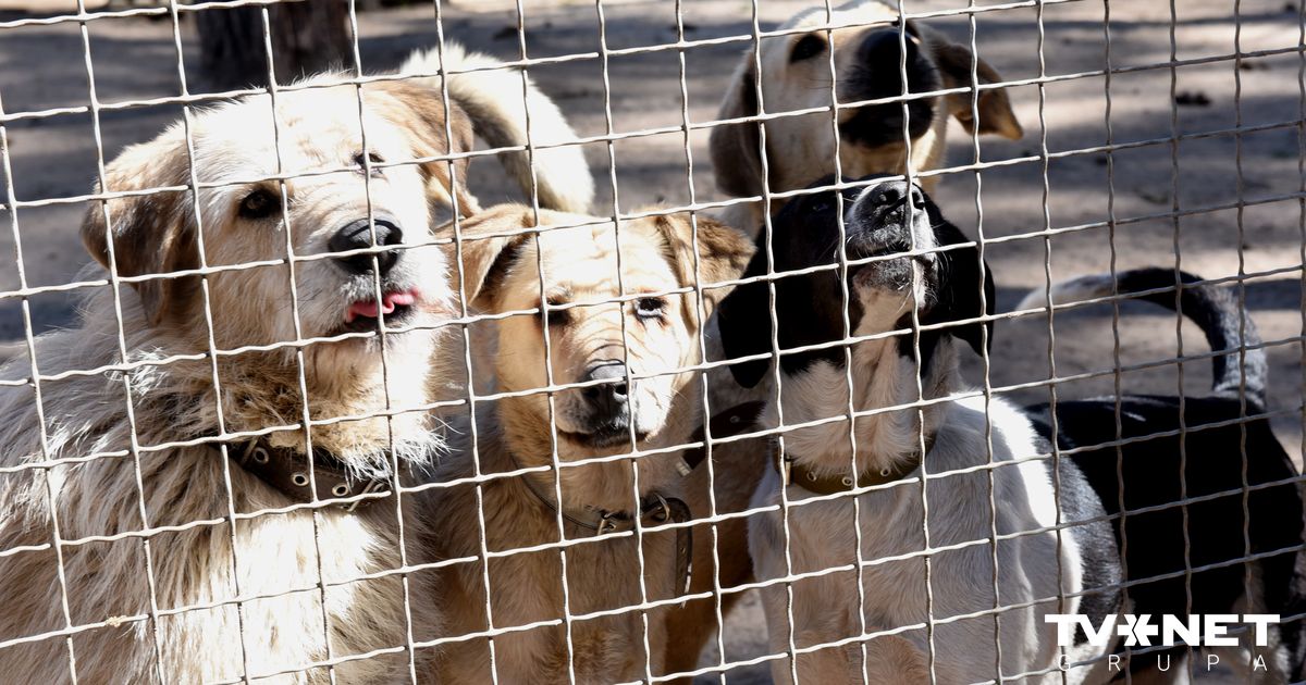 "Ulubele" noraida Latvijas Radio raidījumā izskanējušo informāciju par ...