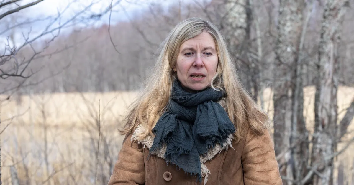 Katrin Kull: kas riik ikka soovib punkrialust maad rentida?