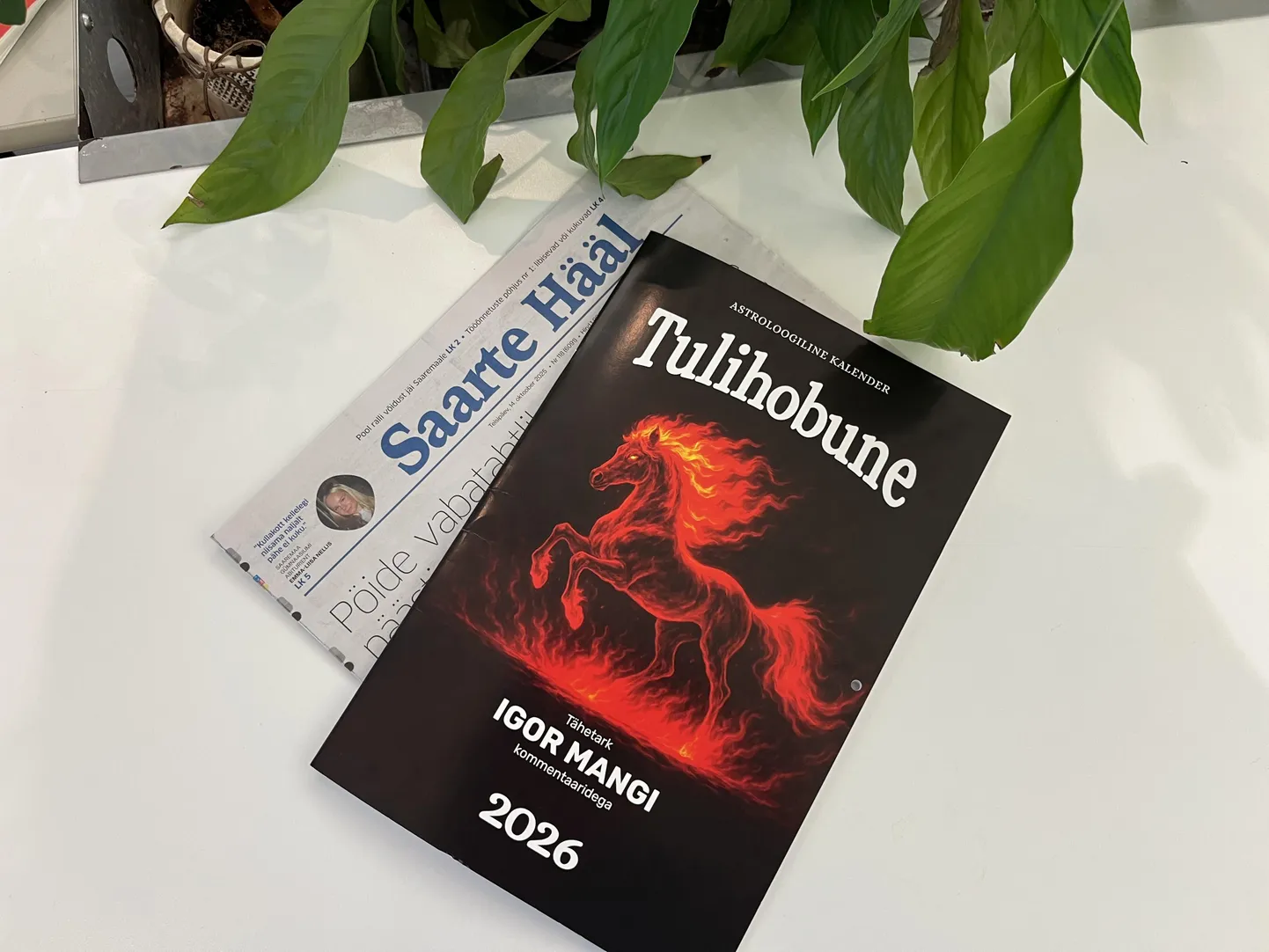 2026 TULIHOBUSE AASTA Mida teab Igor Mang Jäära kohta?