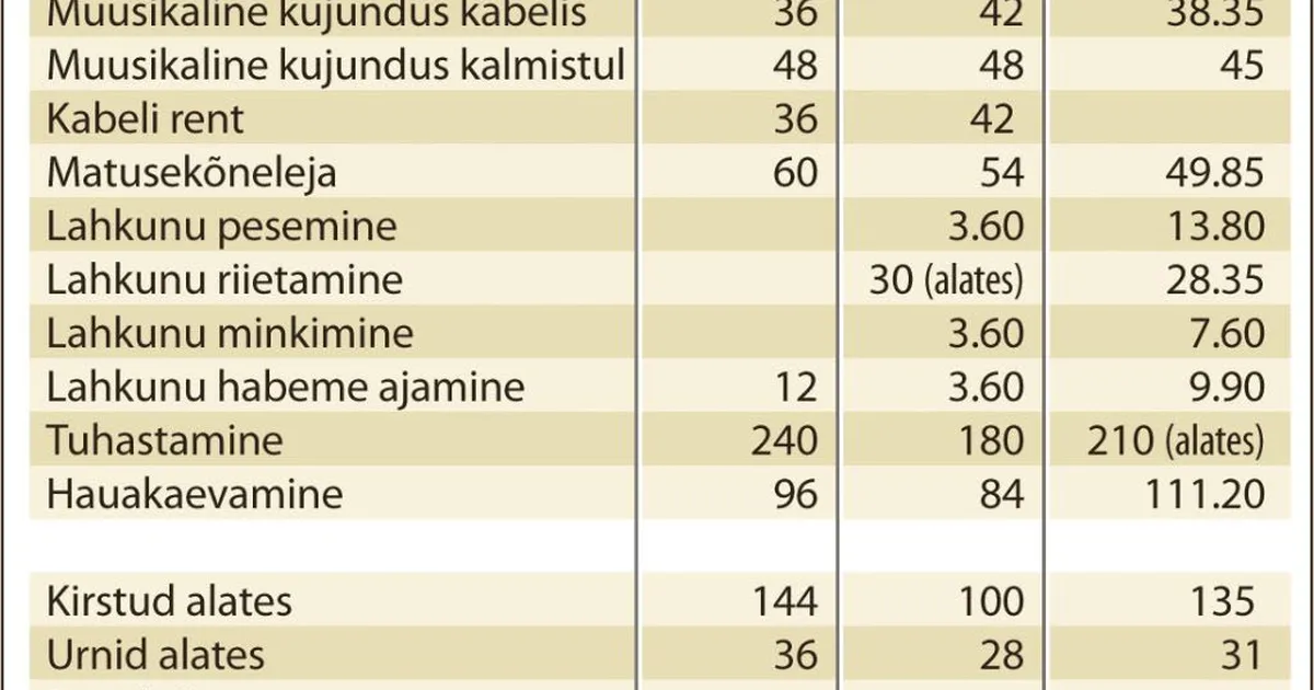 Matusebüroo on vajalik abiline, mitte raisakotkas