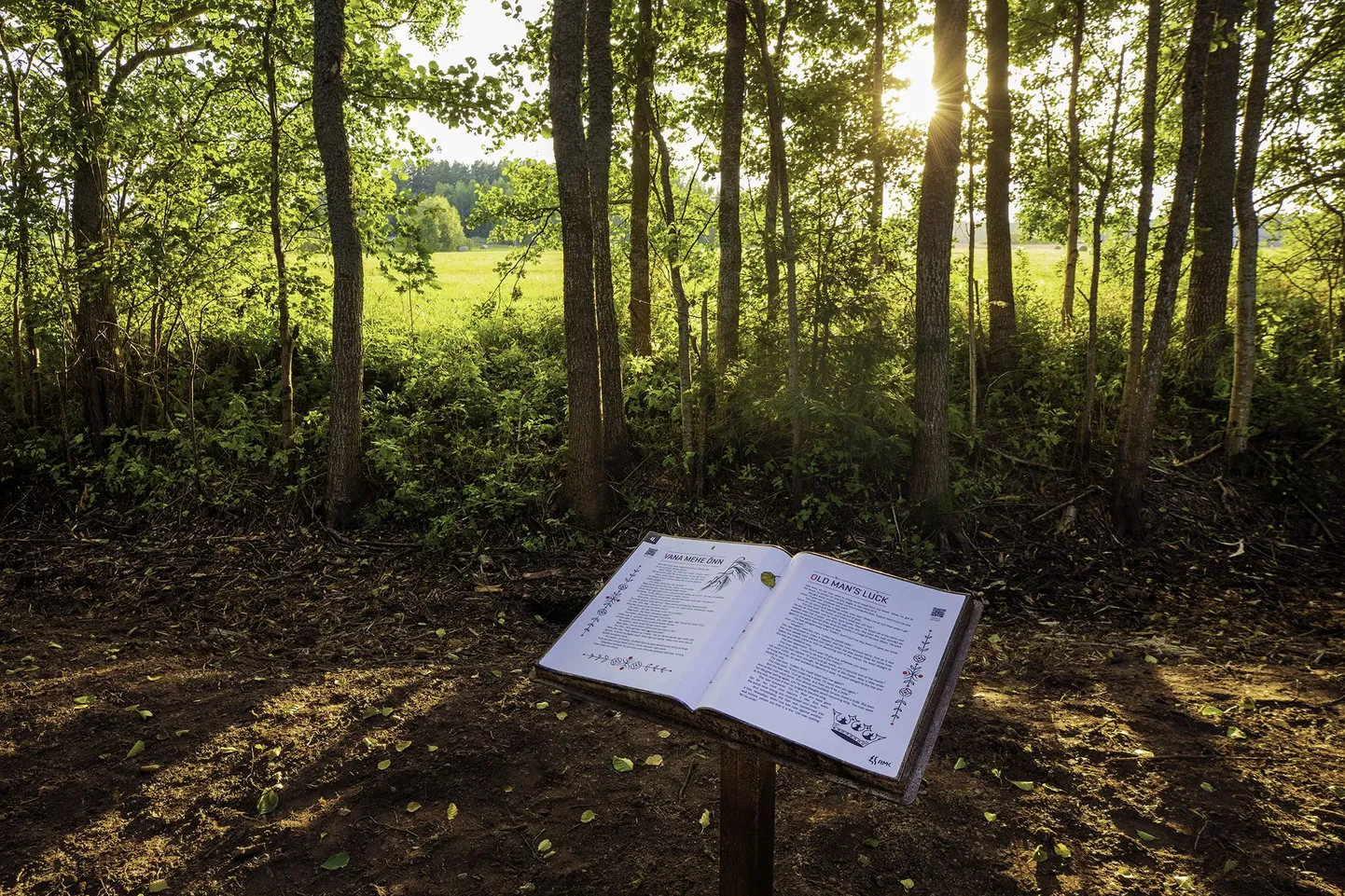 Pikanäpumees pätsas metsarajalt infotahvli rahvajutuga