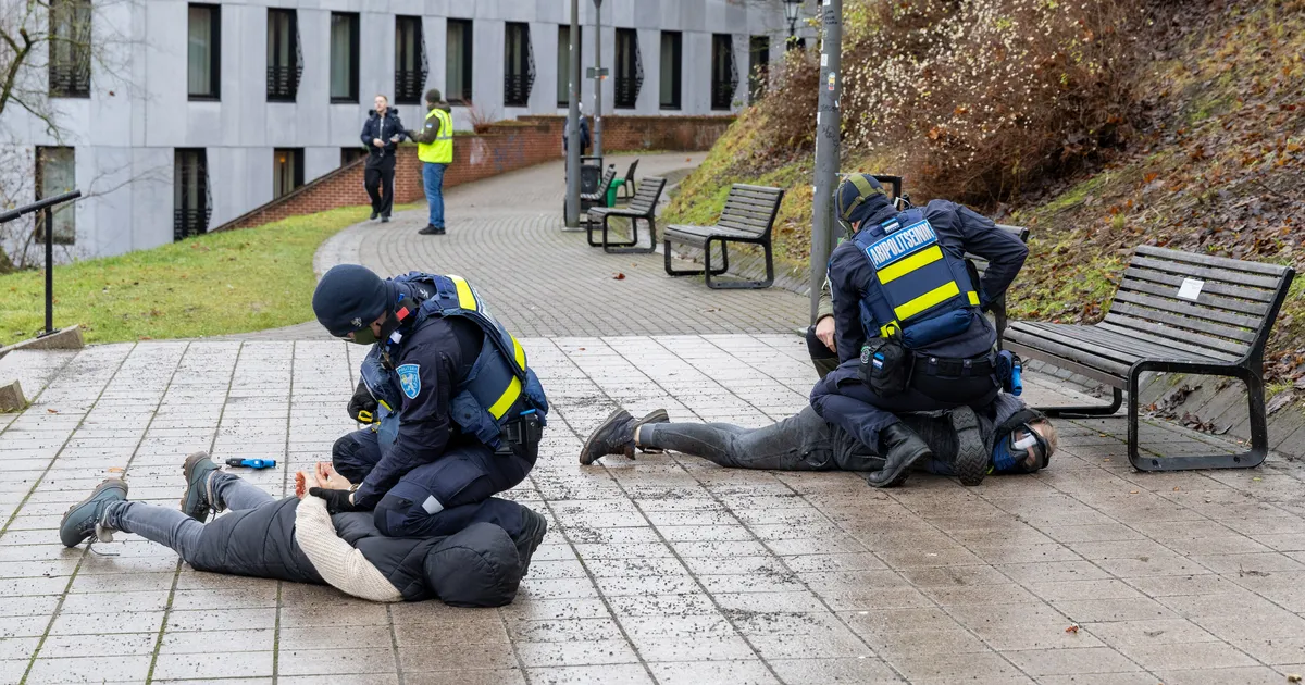 VIDEO JA GALERII Pirogovi pargis välkus nuga ja kõlas lask. Politsei ja ...