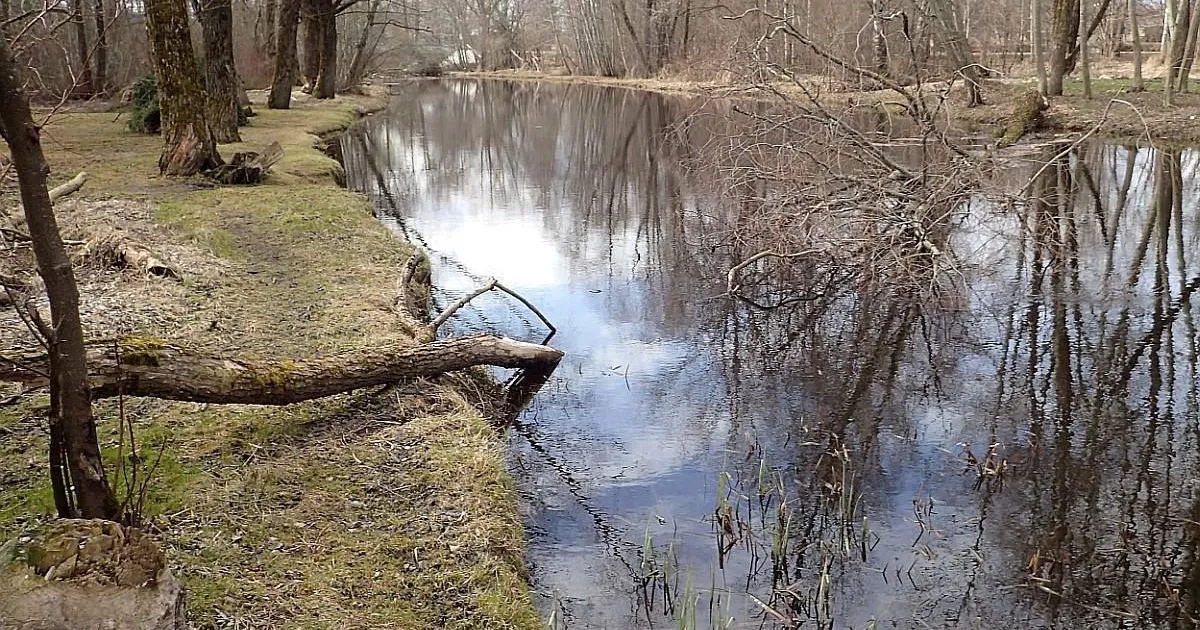 Mees poetas Pärnu jõe äärde riided ja dokumendid ning...kadus