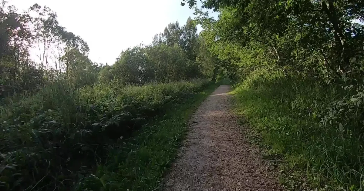 VIDEO Nõgesed, kuri koer ja ootamatu kohtumine: sõida koos Pulleritsuga ...