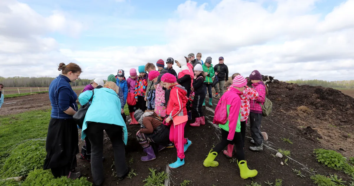 «See ongi päris elu!»