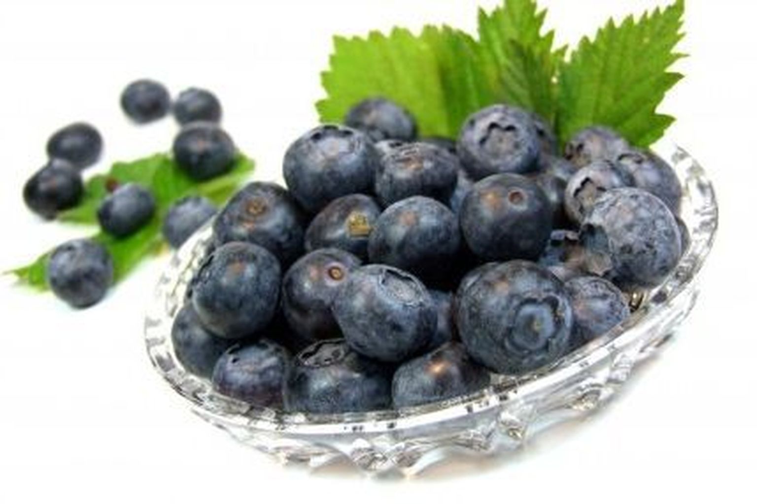 Ukraina saadik: kaks Eesti marjulist ja ukrainlased leiti Soomes üles ...