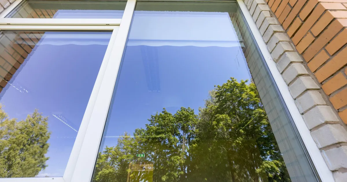 Kaare kool soovib välja selgitada linde päästva töö hinna