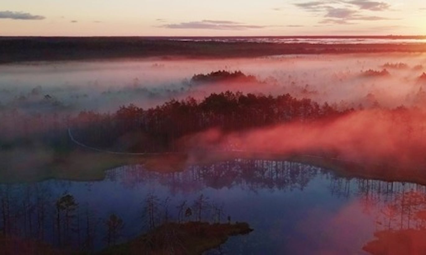 Mūsu skaistā Latvija! Cenas tīreļa purvs saullēktā no putna lidojuma ...
