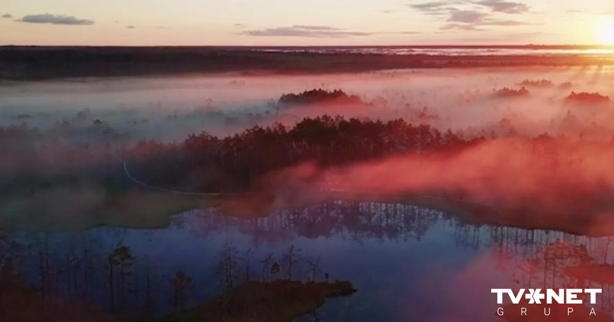 Mūsu skaistā Latvija! Cenas tīreļa purvs saullēktā no putna lidojuma