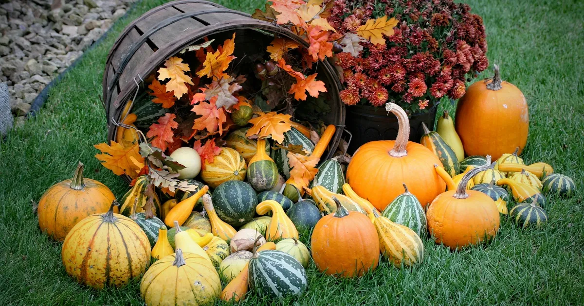 KELLEL VEAB SEEKORD? Nendel kolmel tähemärgil on oktoobris rahaõnne