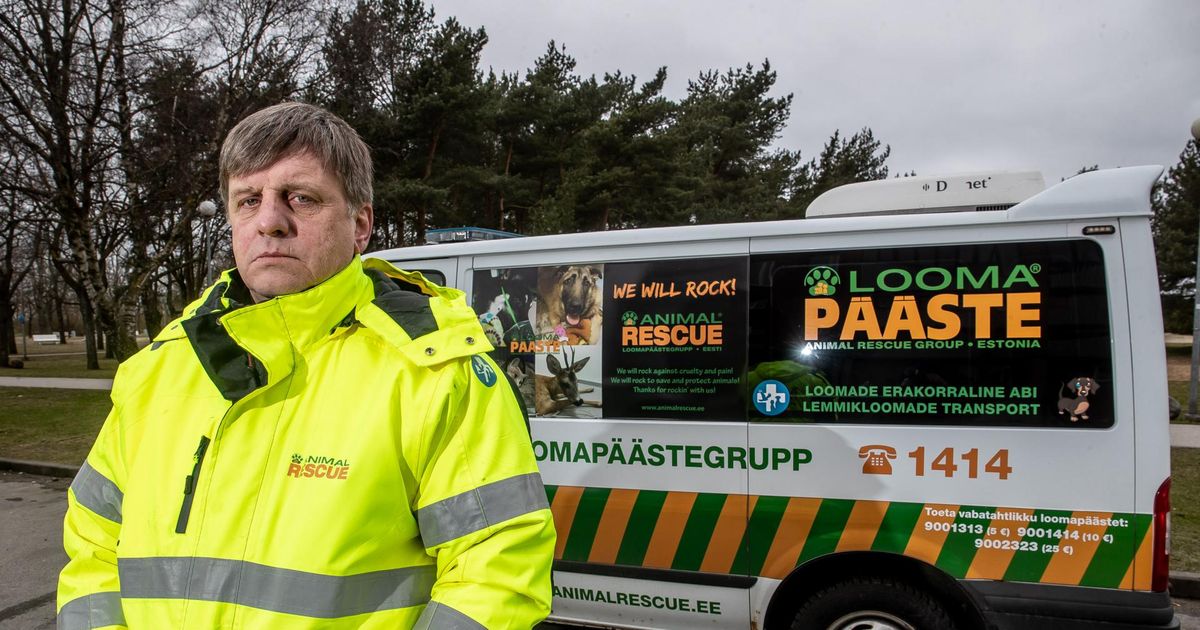 ILUTULESTIK HIRMUTAB LOOMI Heiki Valner: Nõmmelt kuni Pääskülani ...