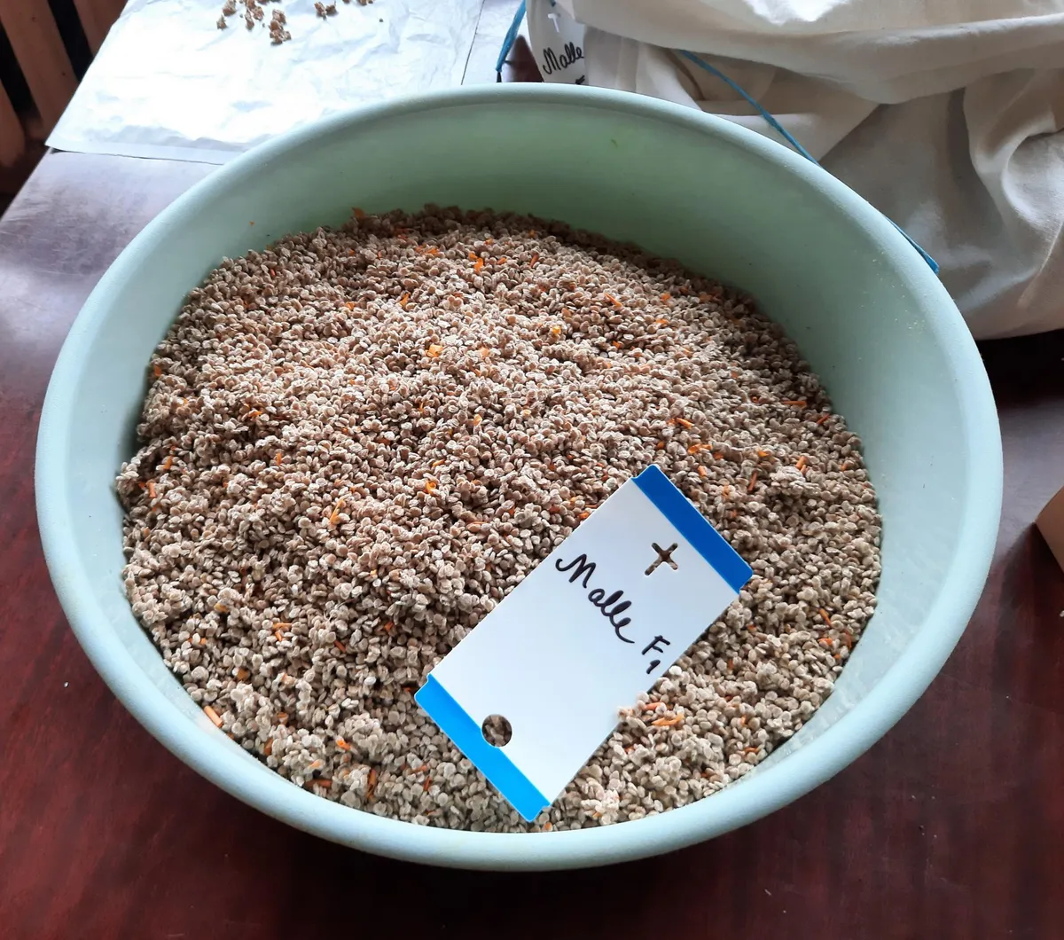 Kuidas seeme tomati seest pakendisse jõuab