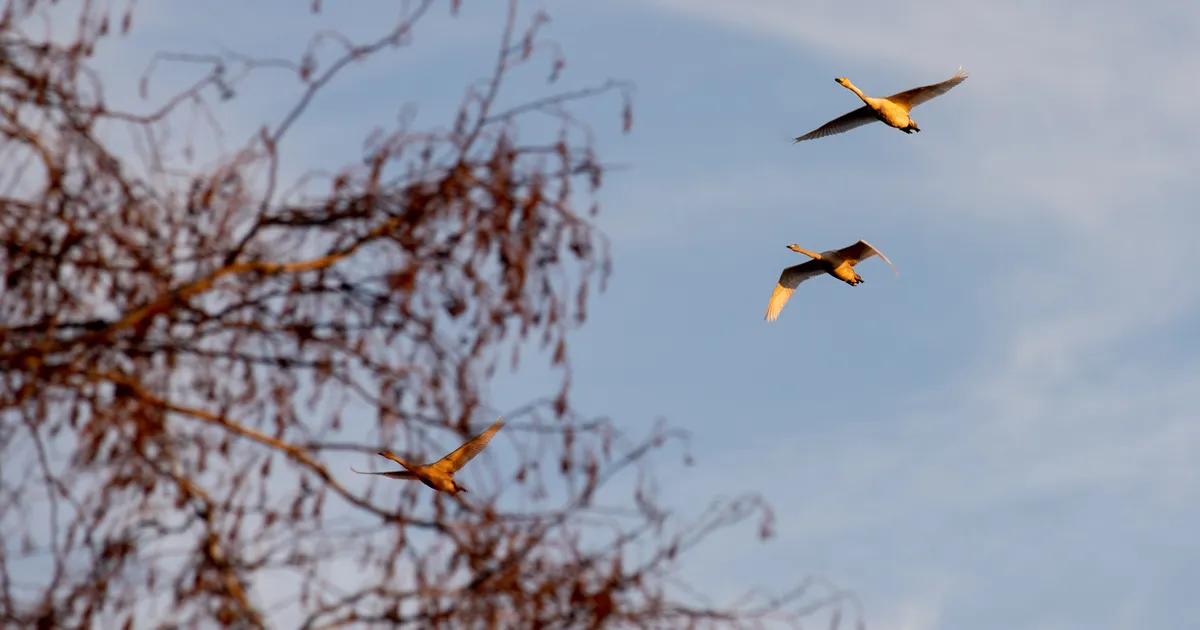 Reedel tuleb kuni 16 kraadi sooja
