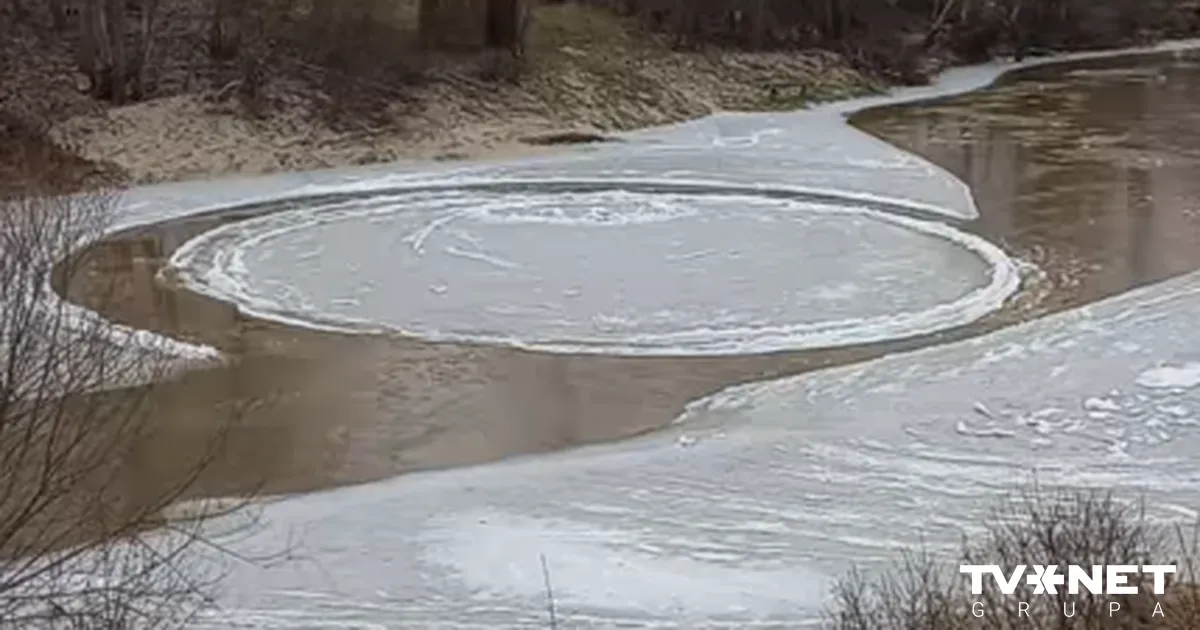 VIDEO Arī Cieceres upē izdevies iemūžināt reto dabas parādību – ledus apli