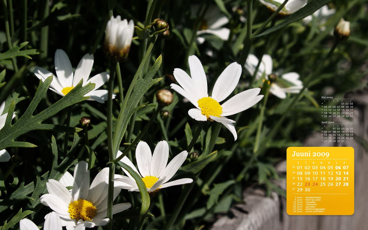 Juuni kalender - Postimees: Värsked uudised Eestist ja välismaalt