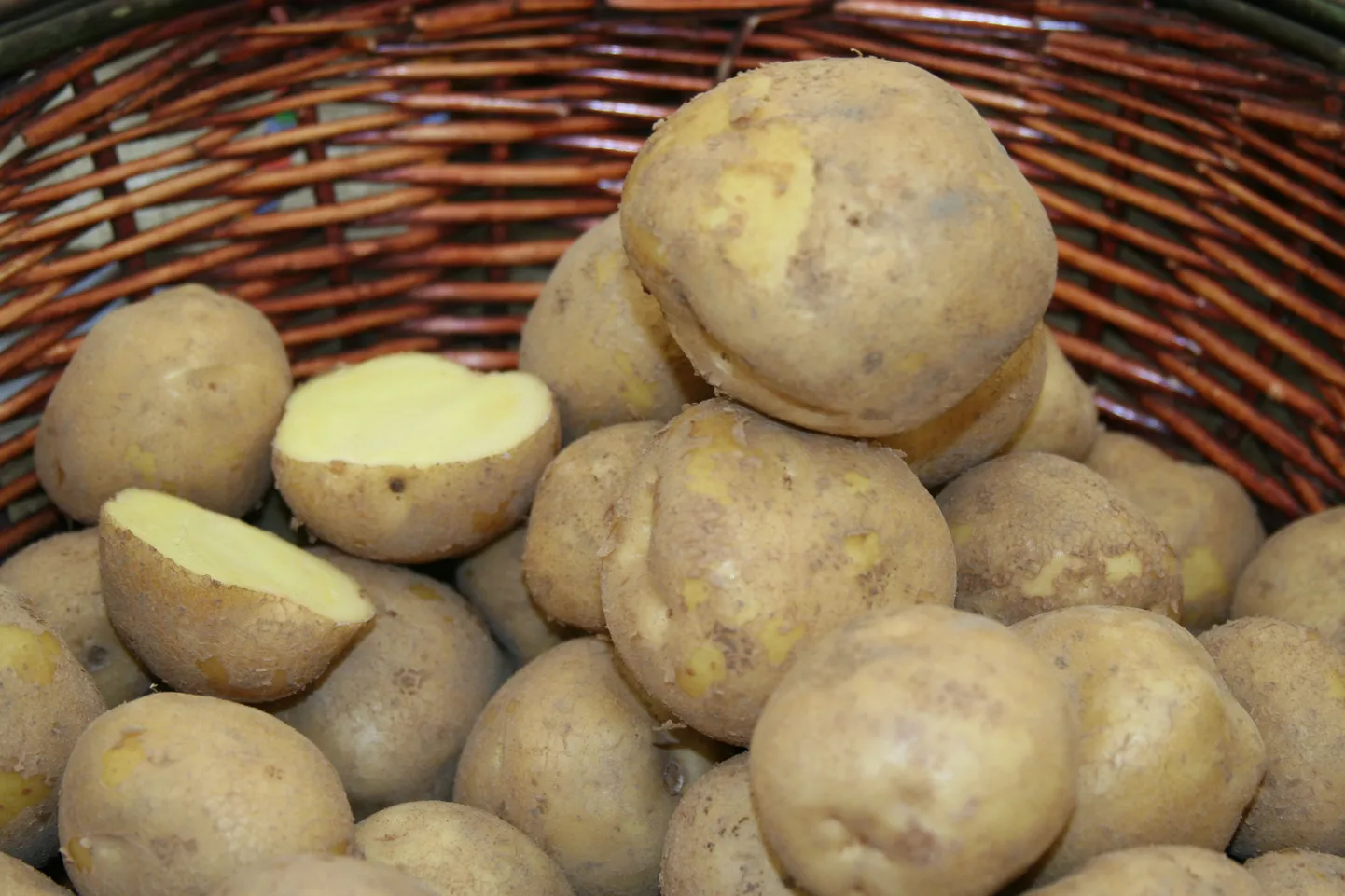 «Ando» - kartulite koorekiht