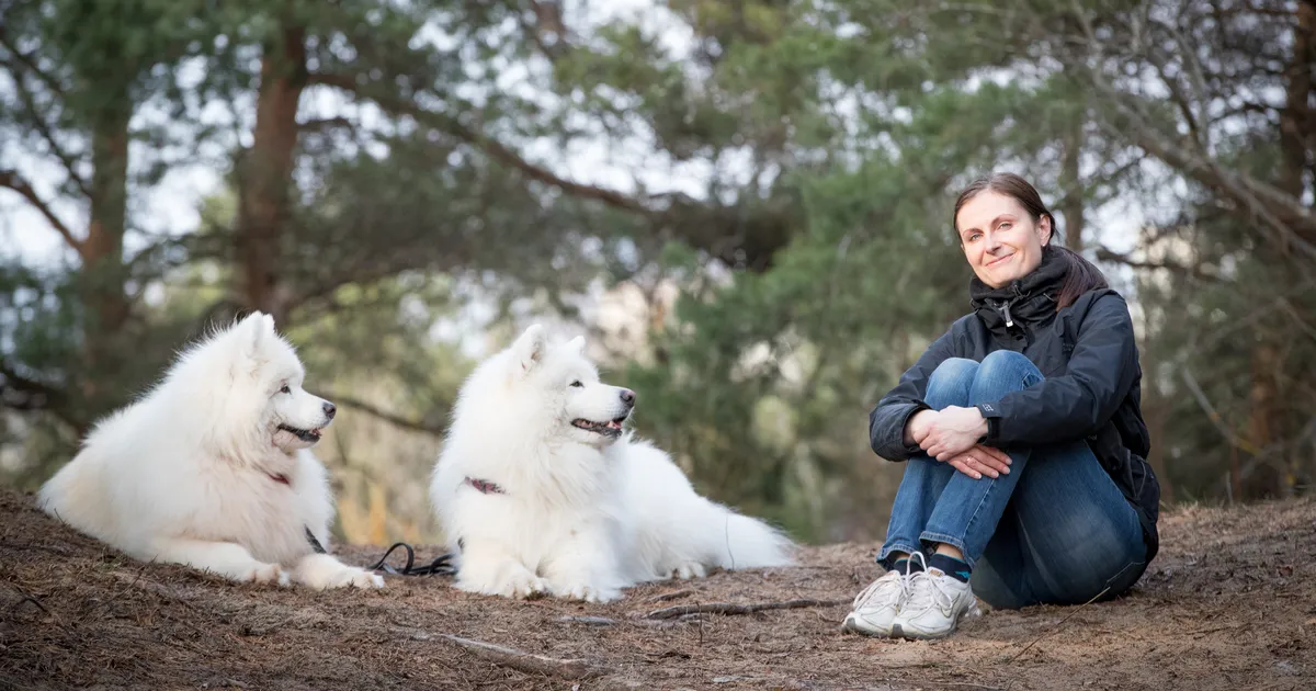 LEMMIK Kui koer haugub lakkamatult ja kass pissib nurka