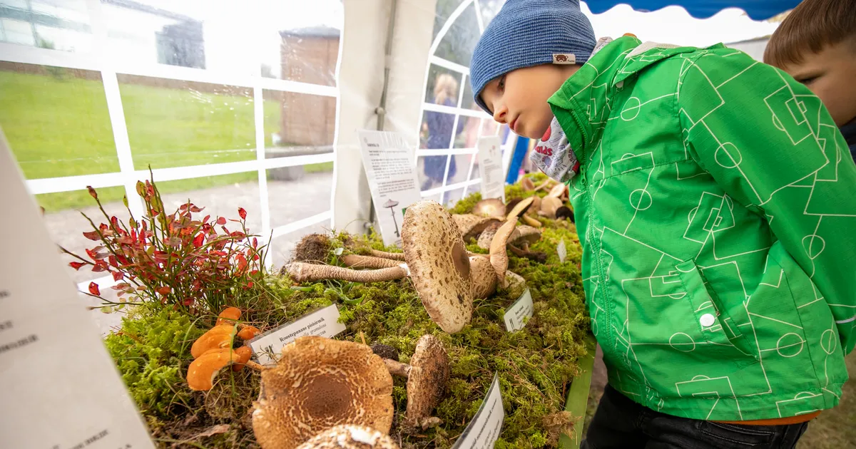 TEISIPÄEV, 20. september