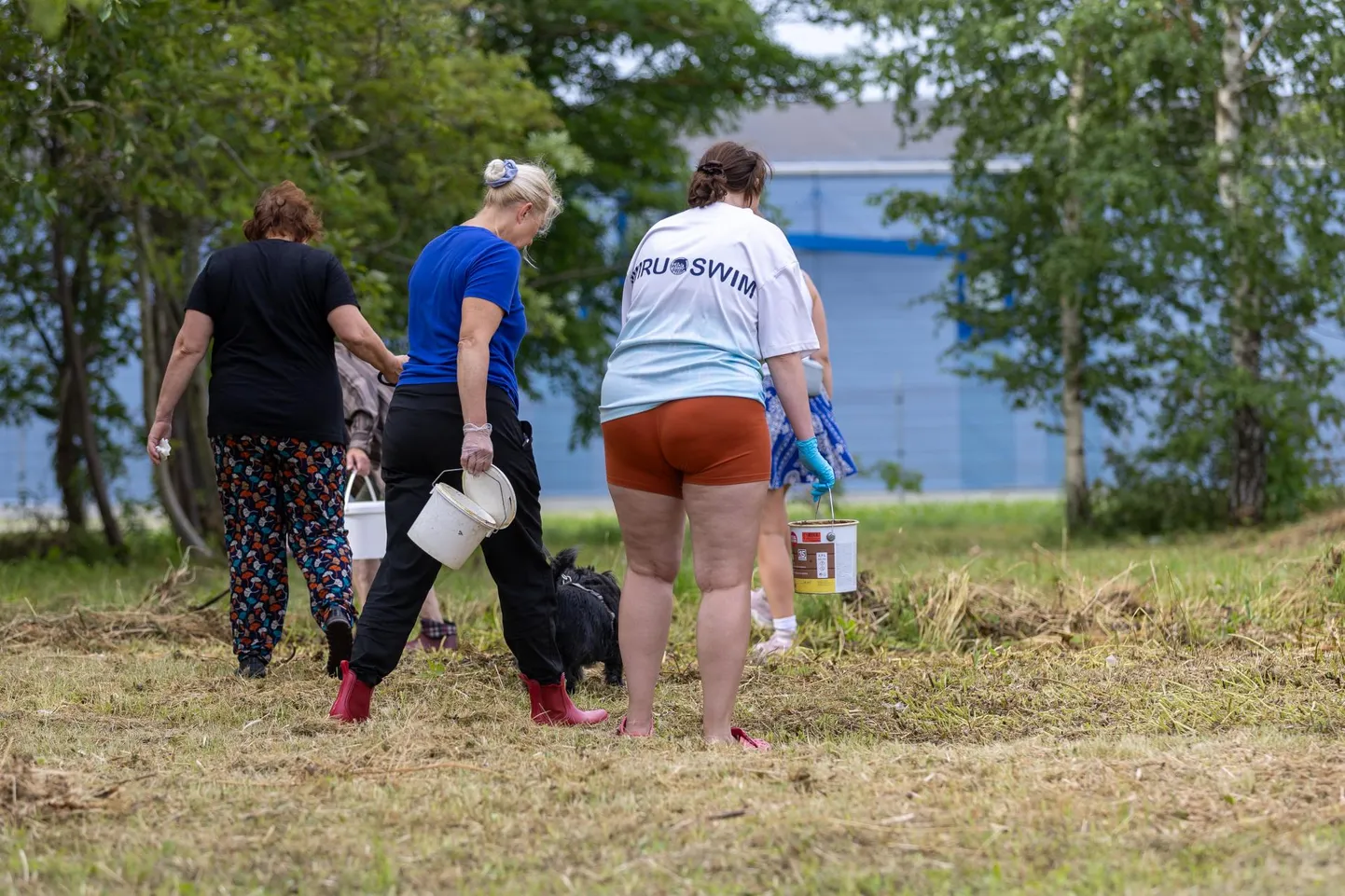 Paemurru elanikud võitlevad ühise rindena hispaania teetigude vastu