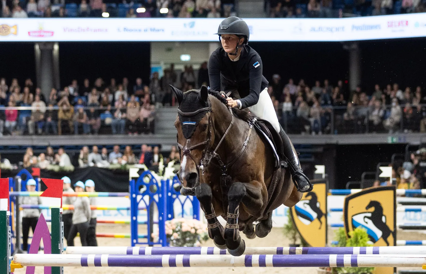 2000 KM JA 3 PÄEVA Relander ja Expert võtsid ette pika reisi, sest kodupubliku tõmme on nii tugev!