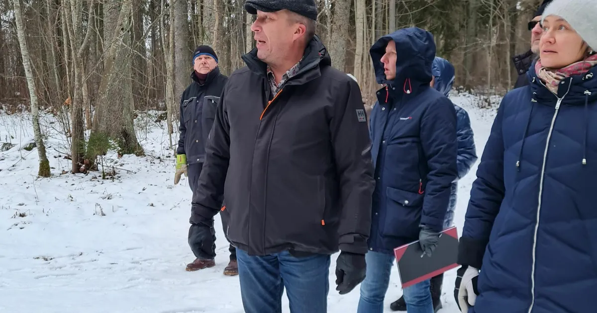 Kõrgessaare metsas algavad raietööd