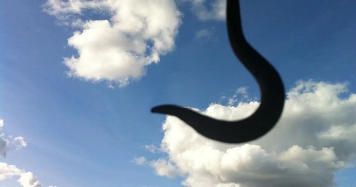 Rakvere Raibe: 50 eelist, miks Eestis on hea elada