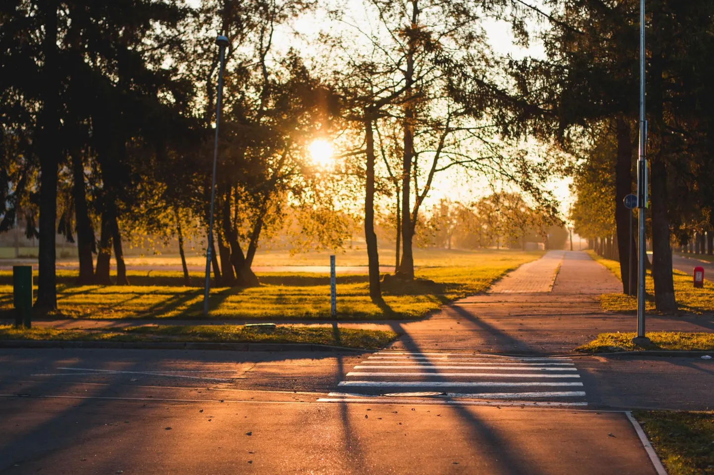 Kalamees puhkas kergliiklusteel