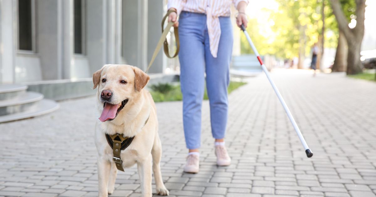 Pime naine: teelt eksinud juhtkoer annab hindamatu kogemuse