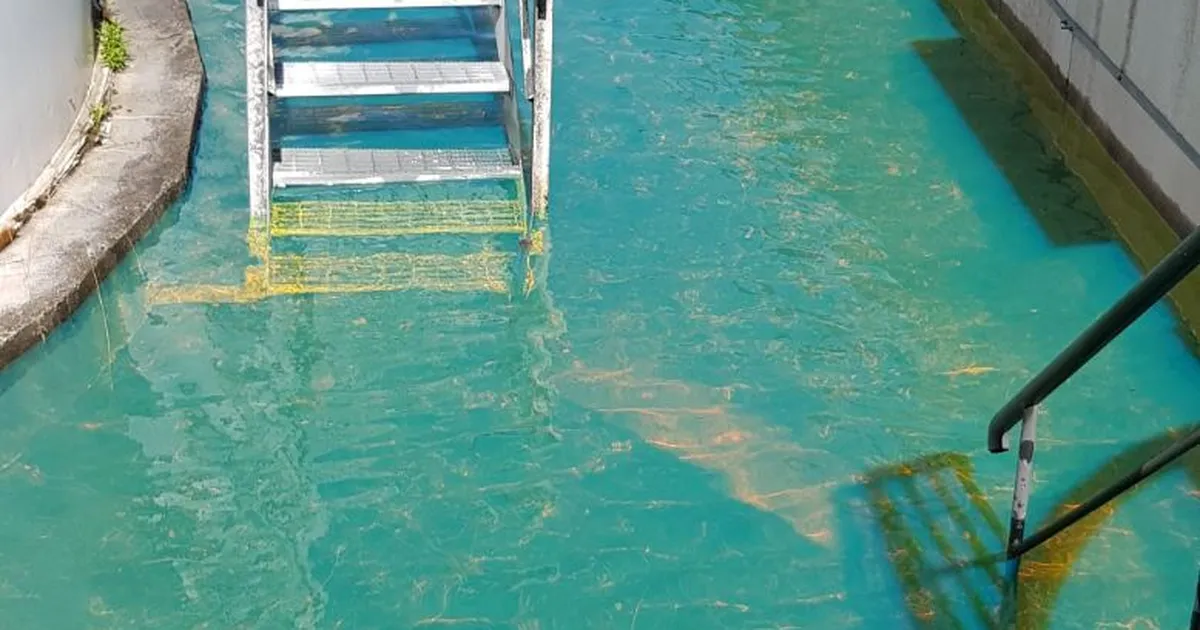 За разлитые в Маарду тонны дизеля никого не наказали