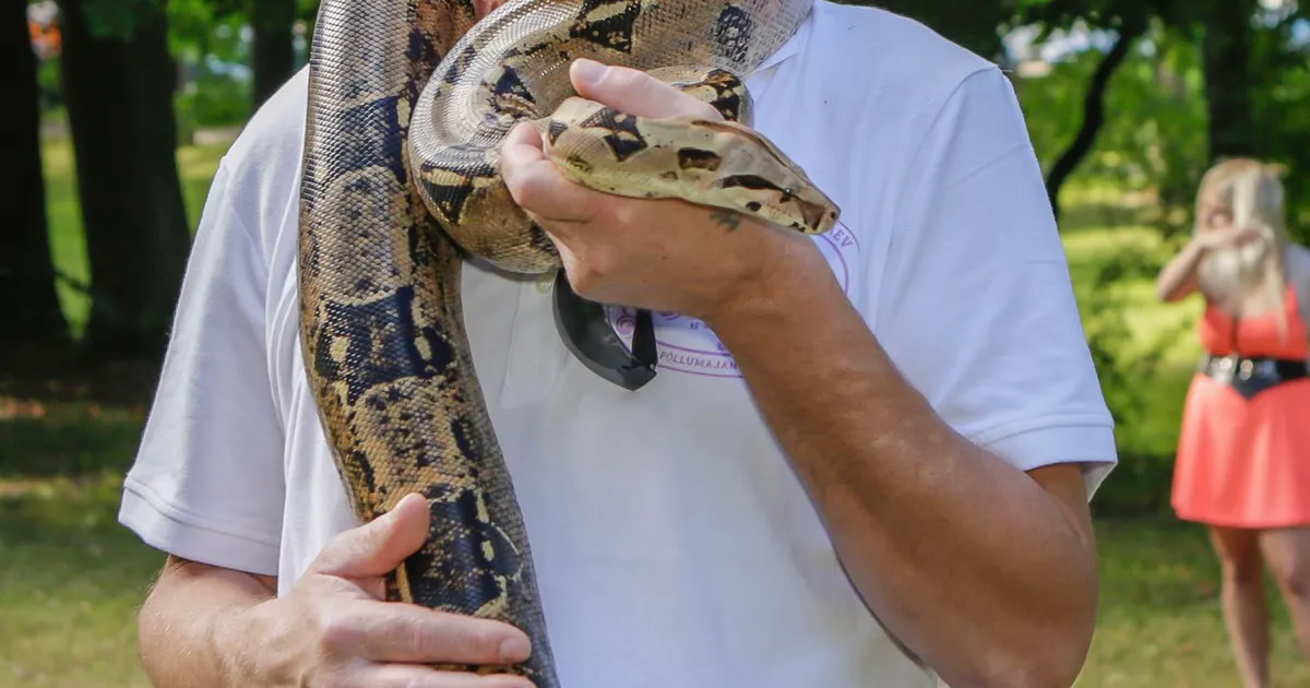 Telenägu Heiki Valner jäi koduta