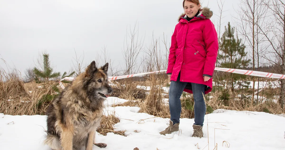 Šurfiauku kukkunud koer jäi maa alla viieks nädalaks