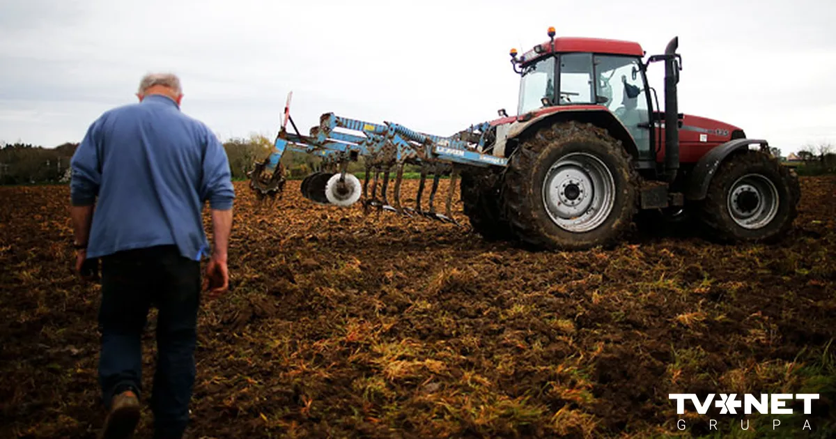«Agrofirma Zelta druva» apgrozījums pērn saruka par 31,3%