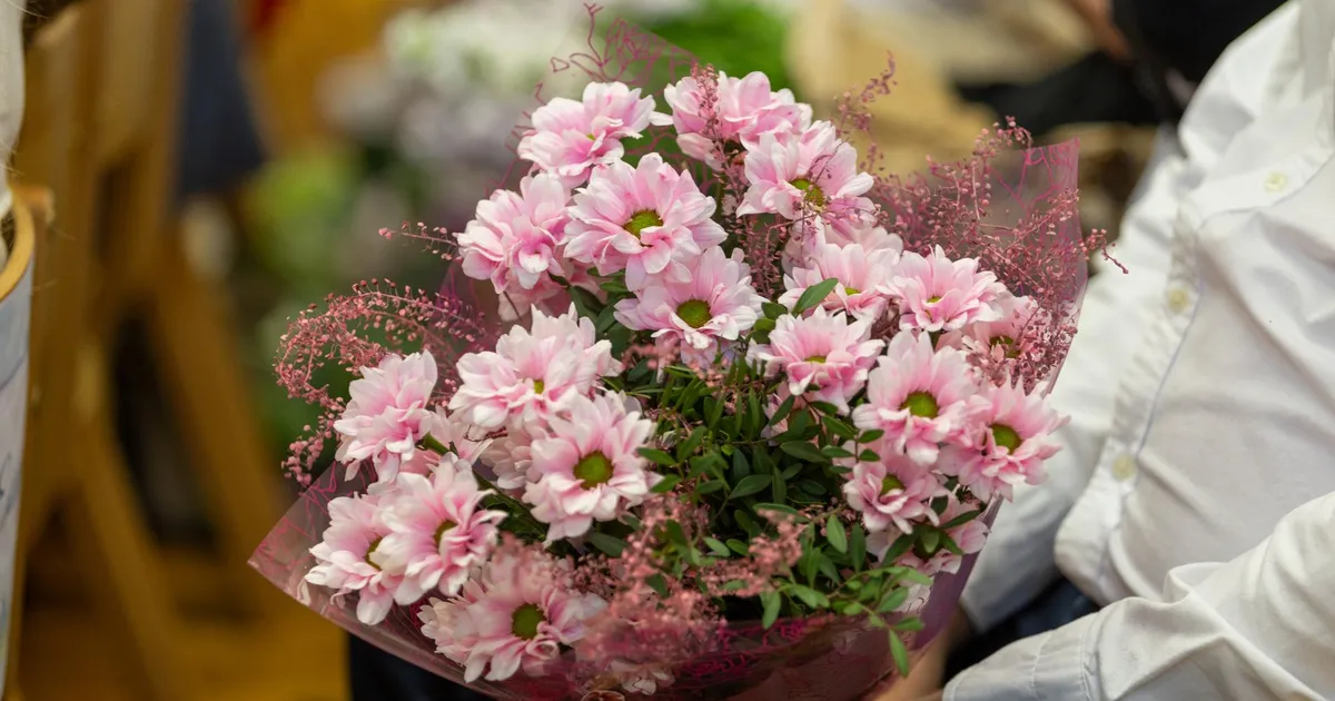 Põlva-, Võru- ja Valgamaa koolilõpetajad 2025