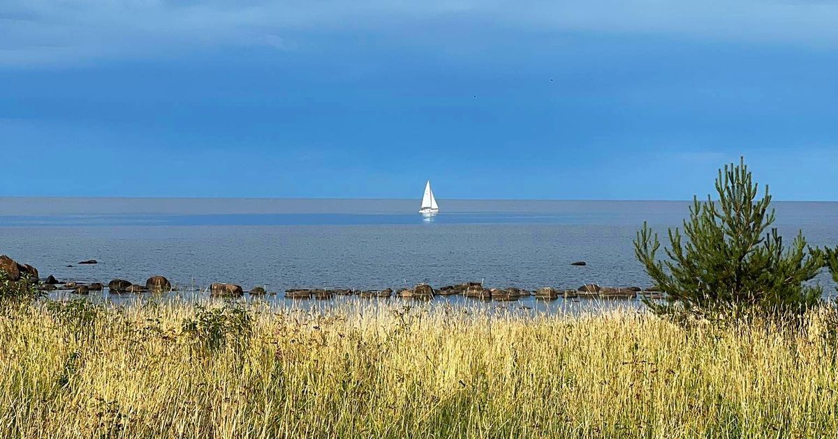 Marek Vahula sulest ilmub peagi "Rutja Eisma Vainupea ja Lood"