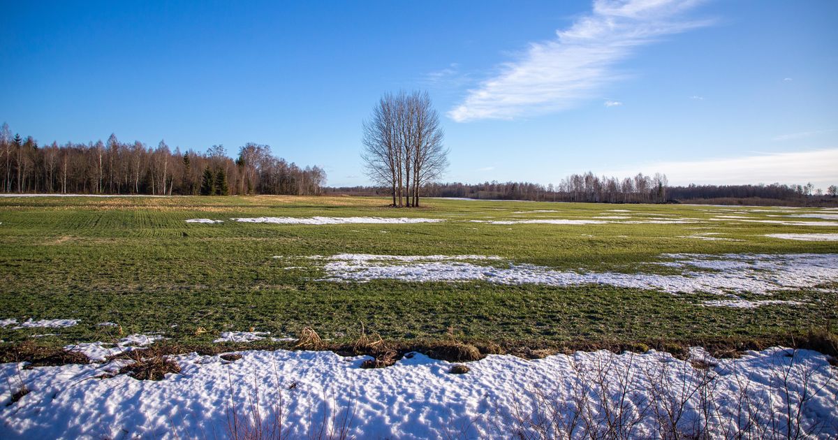 Kevad tuleb üllatavate soojakraadidega