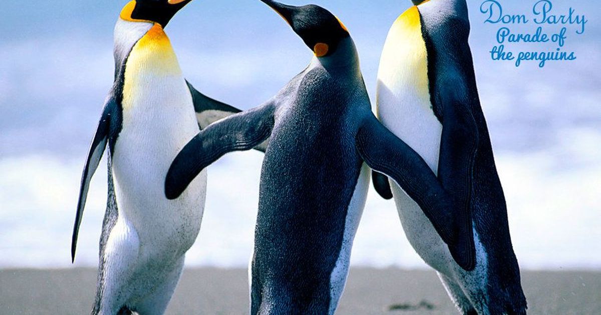 Pingviinide Paraad Klubis Teater Kirev Elu Elu24 Eesti Kõige