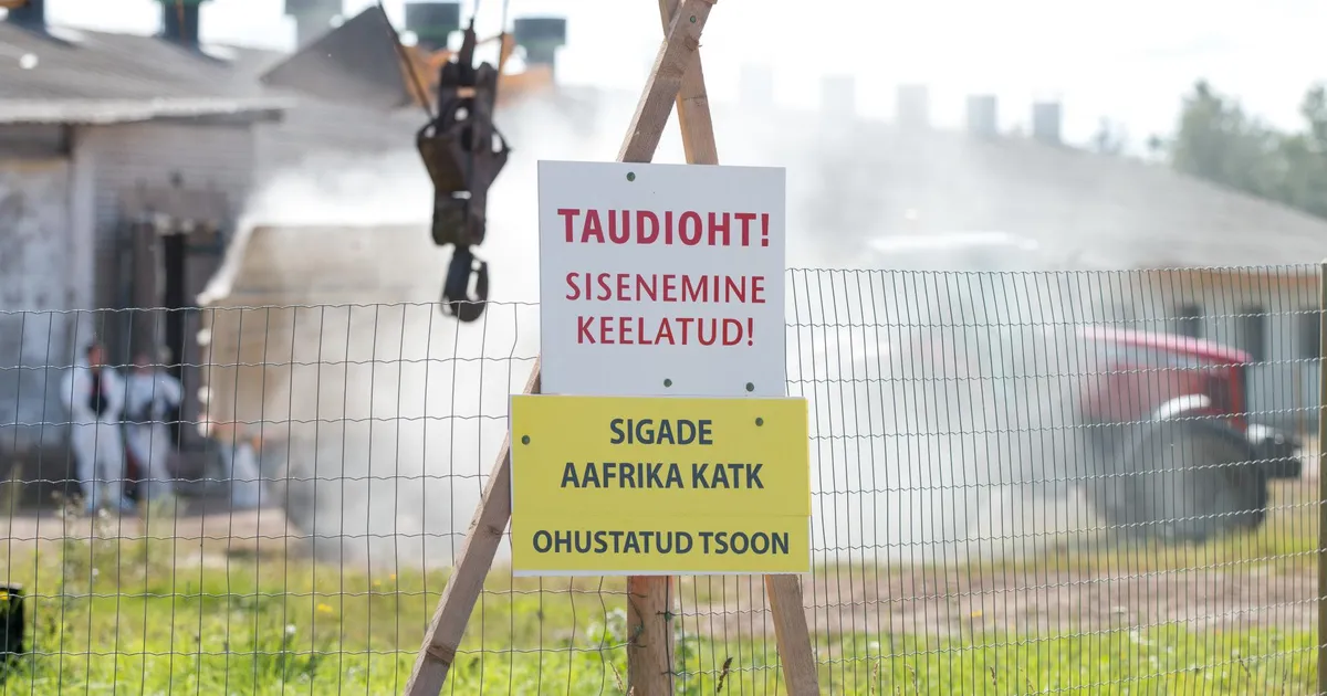 Metssead teevad taas põllumehele muret