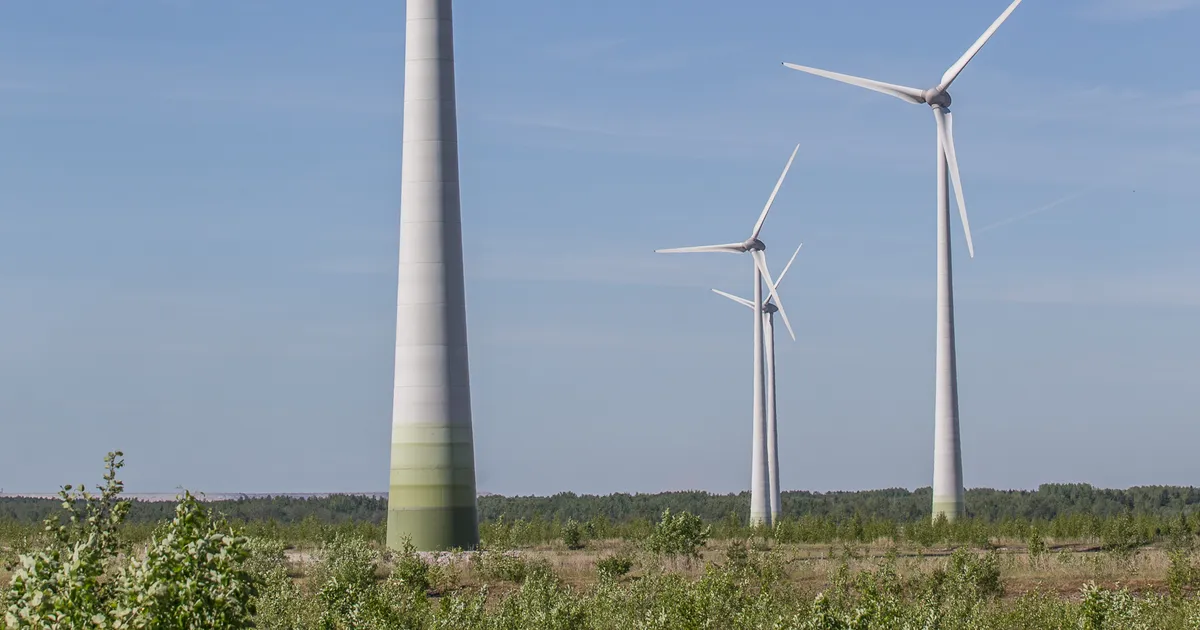 Маргус Вальс: Электроэнергия должна быть недорогой, экологичной и доступной