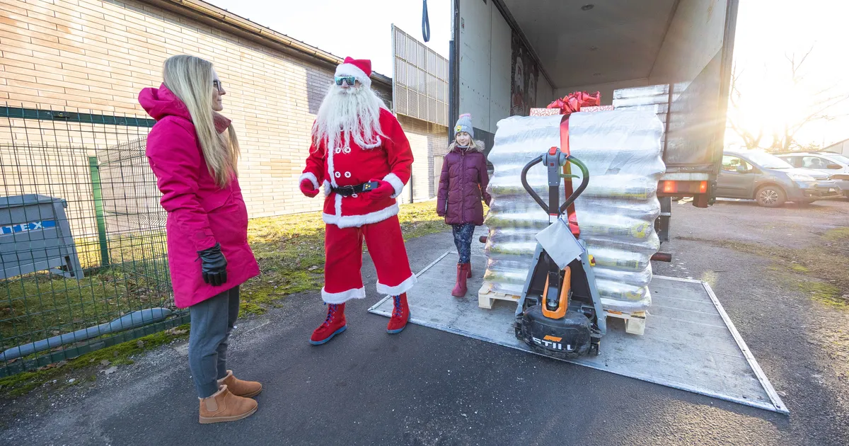 ГАЛЕРЕЯ Дед Мороз Преэдик преподнес бездомным кошкам и спасателям ...